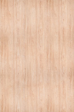 MDF Carvalho Mel Arauco – Terraviva Madeiras